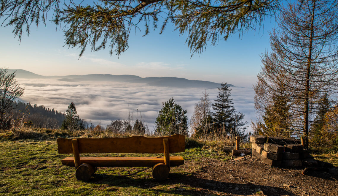 Kiczera i Żar z dziećmi – Powsinogi